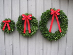 The High Watch Farm | High Watch Recovery Center