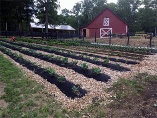 The High Watch Farm | High Watch Recovery Center