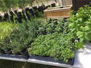 The High Watch Farm - High Watch Recovery Center