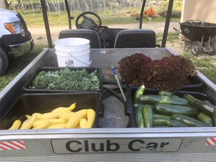 The High Watch Farm - High Watch Recovery Center