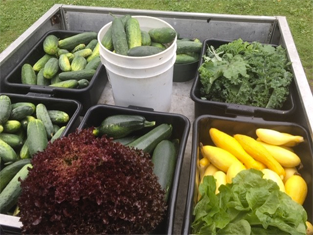 The High Watch Farm - High Watch Recovery Center